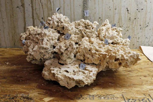 Aquascaping With Marco Rocks Dry Rock - ReefBum