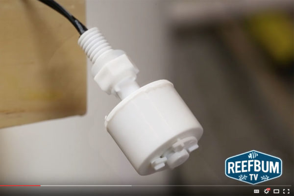 How To Avoid a Skimming Disaster With a Float Switch - ReefBum