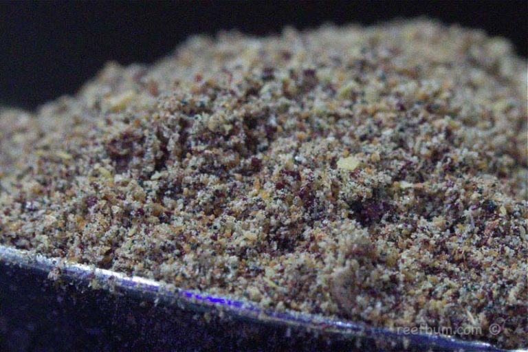 Coral Frenzy Product Overview – The Ultimate Coral Food - ReefBum