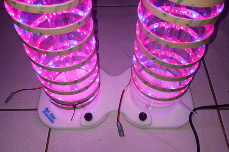 DIY Algae Reactors: A Risky Proposition - ReefBum
