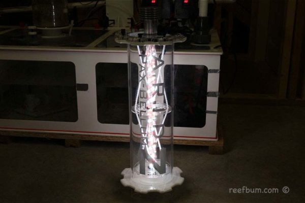 Why I Ditched GFO For an Algae Reactor - ReefBum