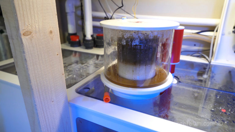 Peninsula Tank Build – Controlling Excess Nutrients - ReefBum