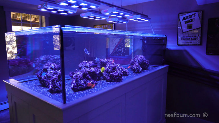 Peninsula Tank Build – Circulation - ReefBum