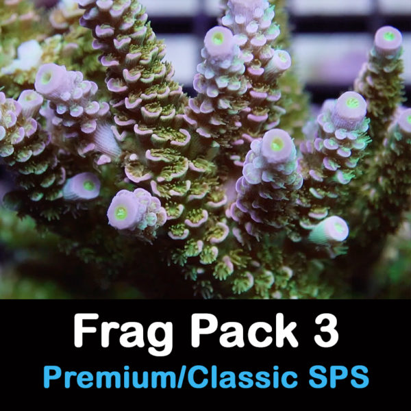 Frag Pack 3 – Premium/Classic SPS - ReefBum