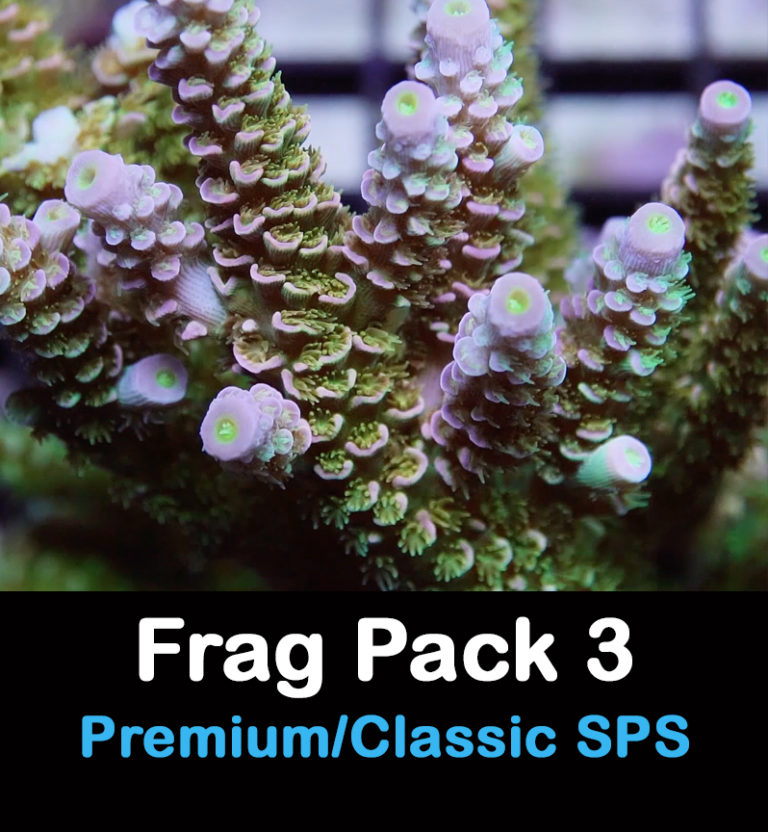 Frag Pack 3 – Premium/Classic SPS - ReefBum