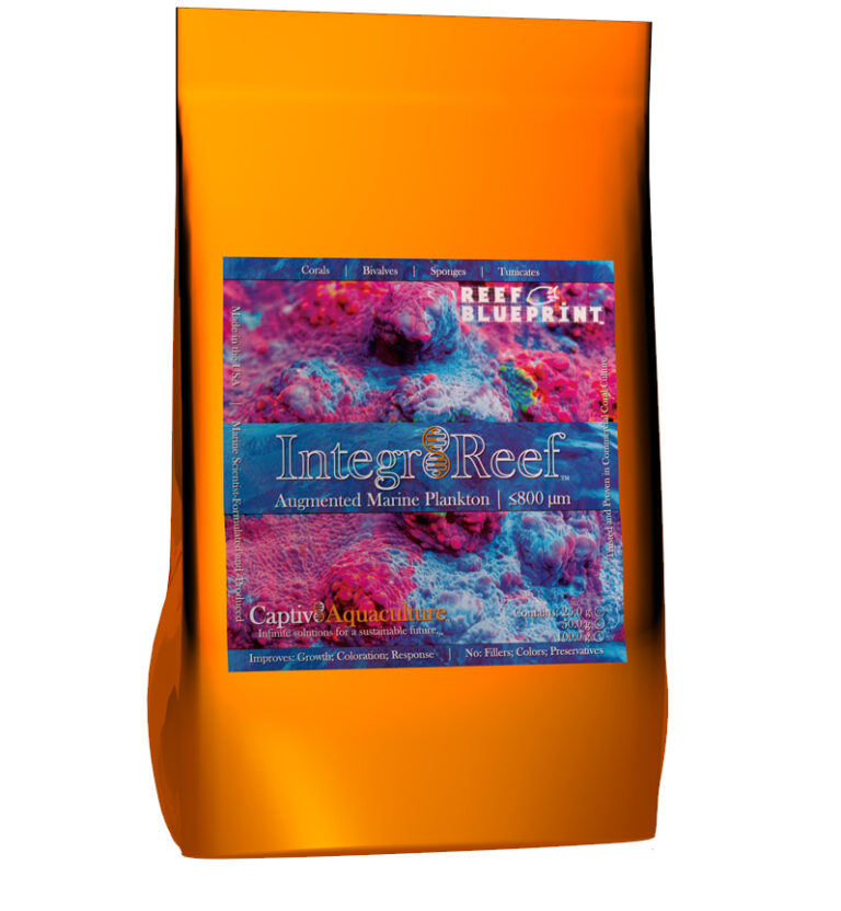 Integr8 Reef - ReefBum