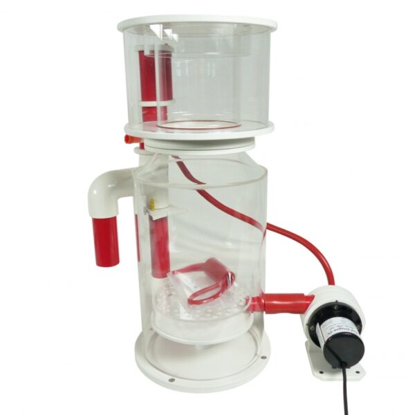 Bubble King® DeLuxe 250 internal + BK DC 24V - ReefBum