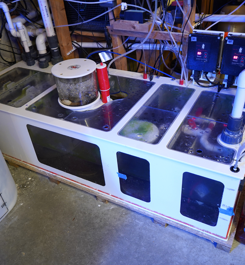 Royal Exclusiv Dream Box Sump – Used - ReefBum
